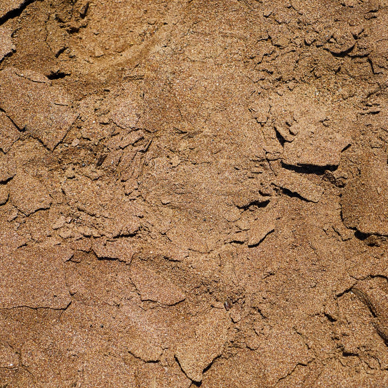 Nisip amestec cu pietriș ⋆ Naiman